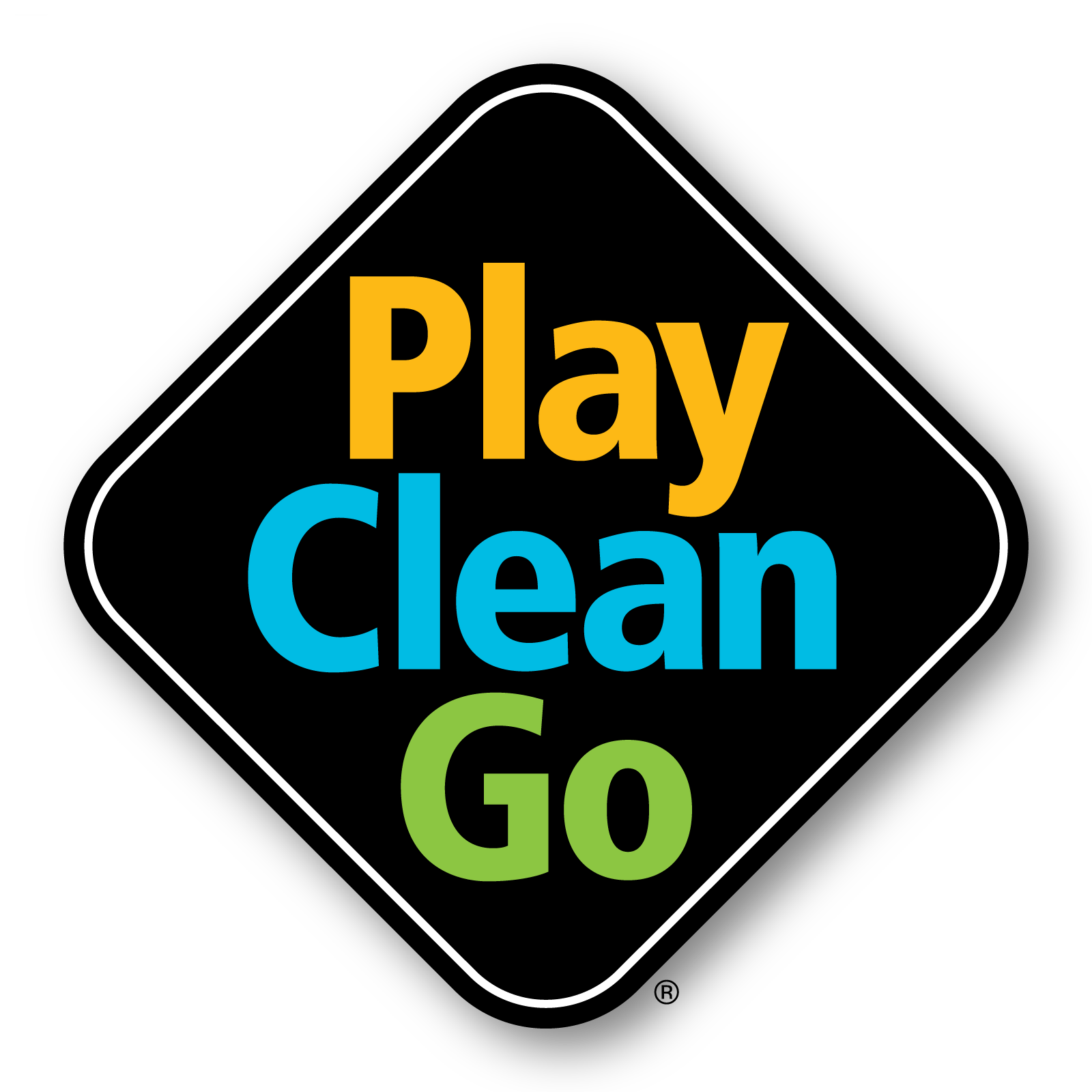PlayCleanGo Logo - NAISMA