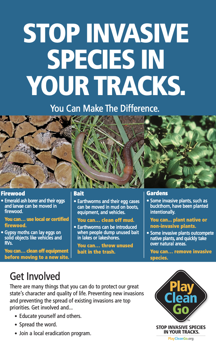 Table Top Display: Pathways - NAISMA