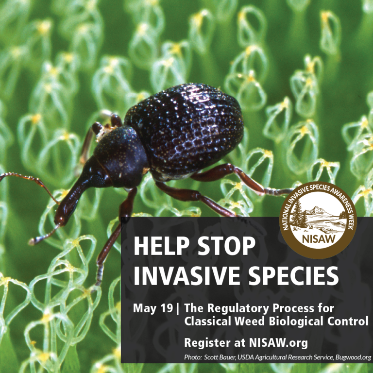 National Invasive Species Awareness Week - NAISMA