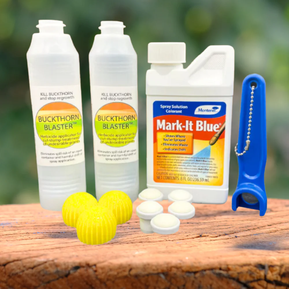 Identifying Common Buckthorn and Understanding Its Impact