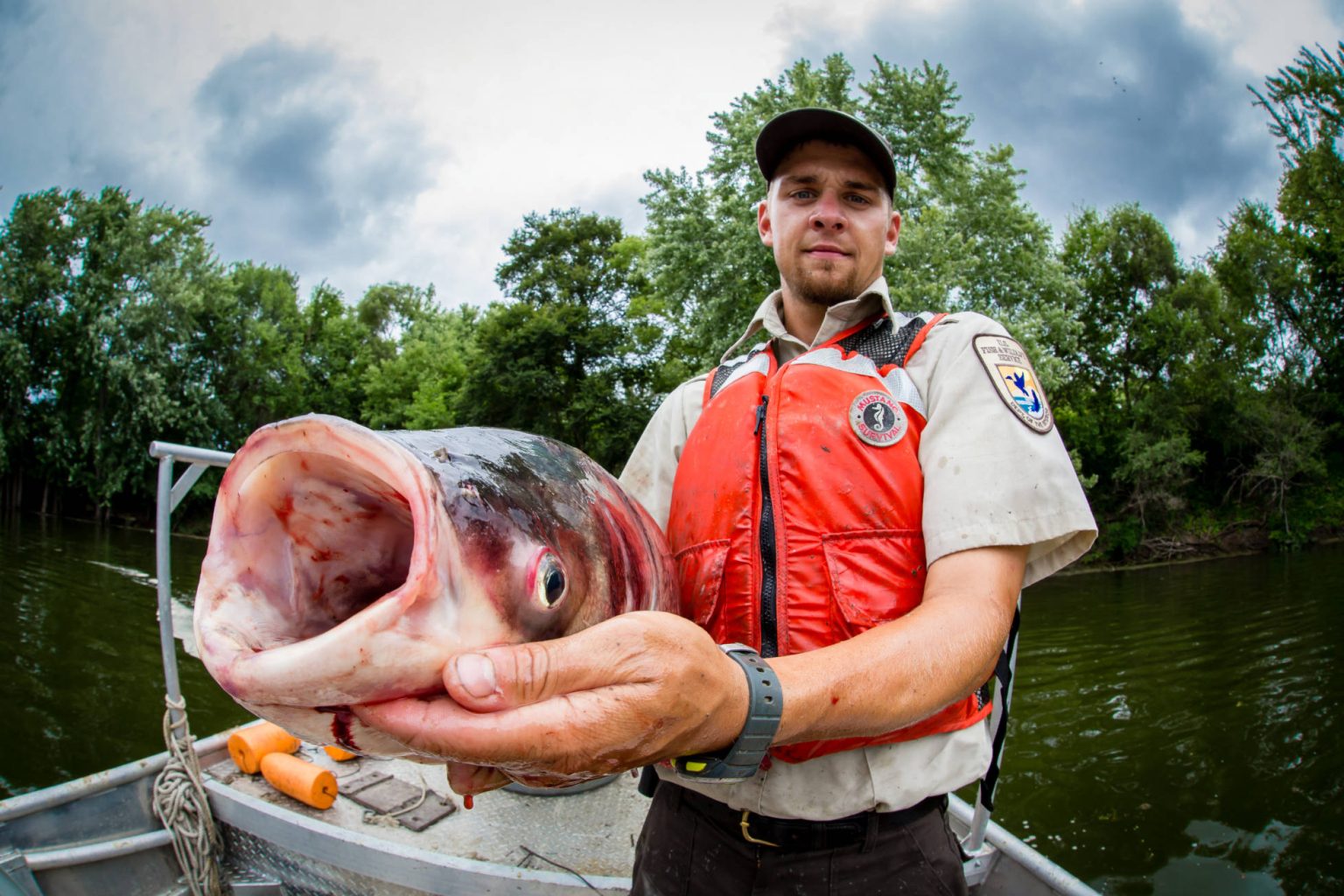 Invasive Carp in North America